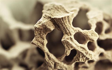 Investigating The Pipeline For Osteomyelitis Treatment Landscape