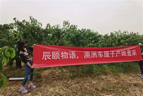 辰颐物语水果实体店如何把辰颐水果和线下水果结合 月入3万 搜狐大视野 搜狐新闻