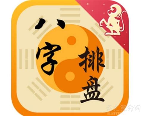 八字排盘怎么看图解，八字排盘怎么看 Doge币中国