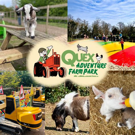 Quex Adventure Farm Park Quex Park