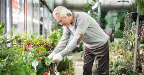 치매 전 경도인지장애에 효과적인 엽산 어떻게 골라야 하나