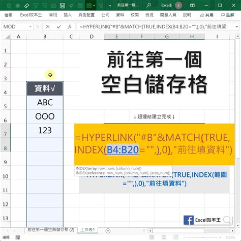 Excel 效率王