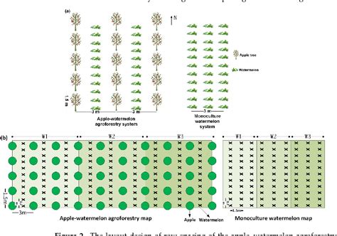Figure 2 From The Impacts Of Planting Patterns Combined With Irrigation Management Practices On