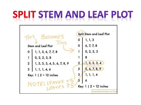 The Shape And Spread Of Data Ppt Download