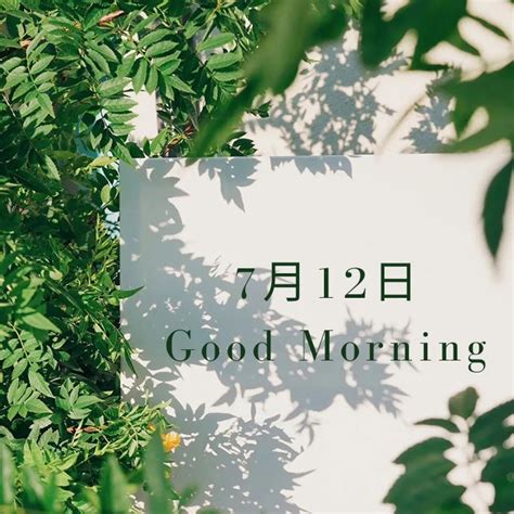 2023最新7月12日早上好图片最新 7月12日早上好图片最新大全 配图网