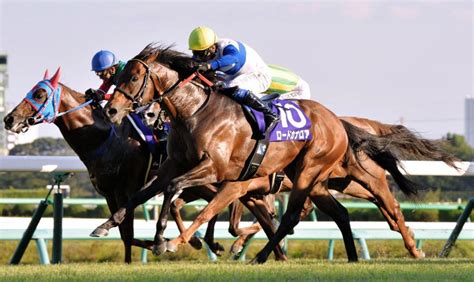 【競馬】新種牡馬ロードカナロアに注目大 並み居る先輩に立ち向かえるかオピニオンdデイリースポーツ Online