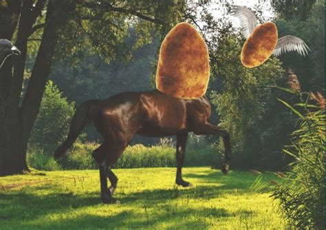 The Majestic Potato Centar Potato Army