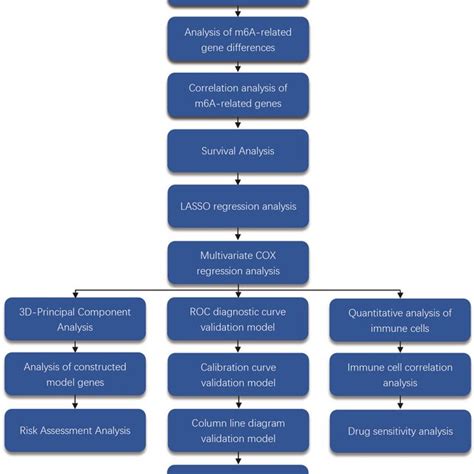 Workflow Diagram From The Diagram We Can See The Flow Of Our Work Download Scientific Diagram