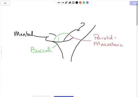 Solved If A Patient Has Gotten Into A Fight And Comes Into The Er With