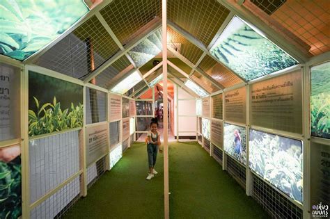 ตันแลนด์ “tan Land” ดินแดนแห่งความสมดุล Me Story เที่ยวแบบกรู