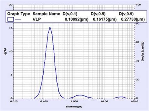 Particle Analysis In Vaccine Manufacturing And Development