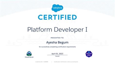 Ayesha Begum On Linkedin Salesforce Salesforcedeveloper Nanostuffs