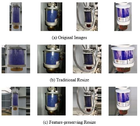 examples of input images with different preprocessing methods