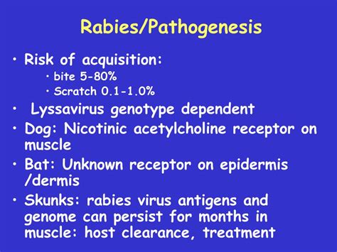 PPT Rabies PowerPoint Presentation Free Download ID 4568441