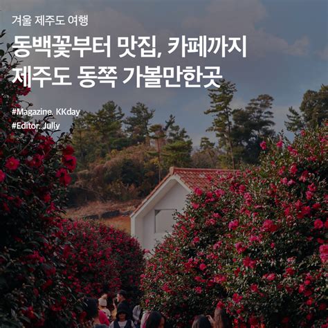 제주 동쪽 가볼만한곳 동백꽃 명소 맛집 카페 추천 Zum 허브