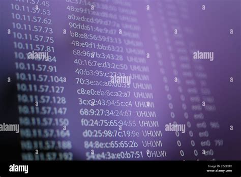 Web Site Codes On Computer Monitor Stock Photo Alamy
