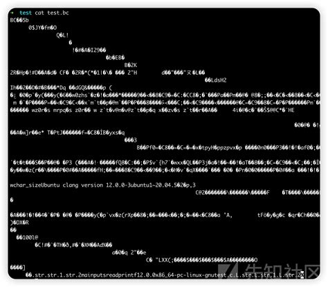 Llvm Pass Pwn（一） Ky不是枕木