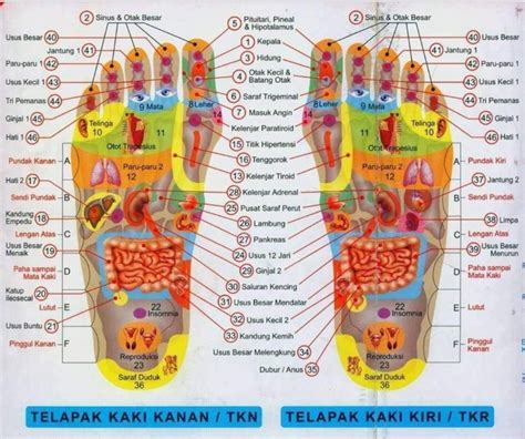 Urut Tapak Kaki Rm30 1 Jam Services Beauty Services On Carousell