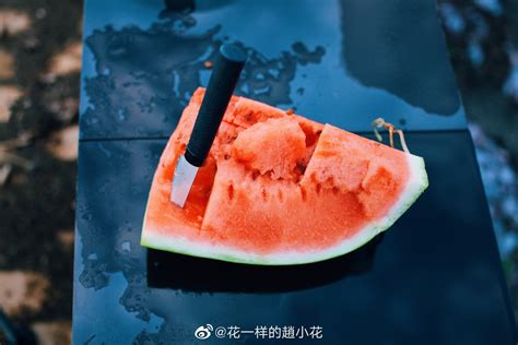 百川东到海何时复西归