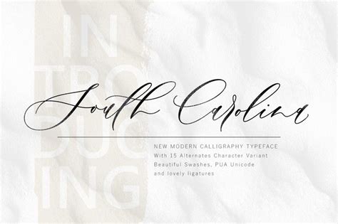 South Carolina Script By Creative Lafont On Creativemarket In 2024