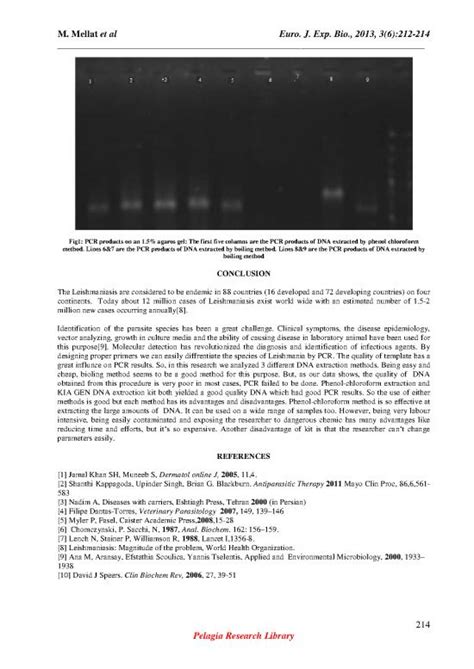 Dna Extraction Methods Pdf 90400 Comparison Of Three Different Dna Extraction Methods From