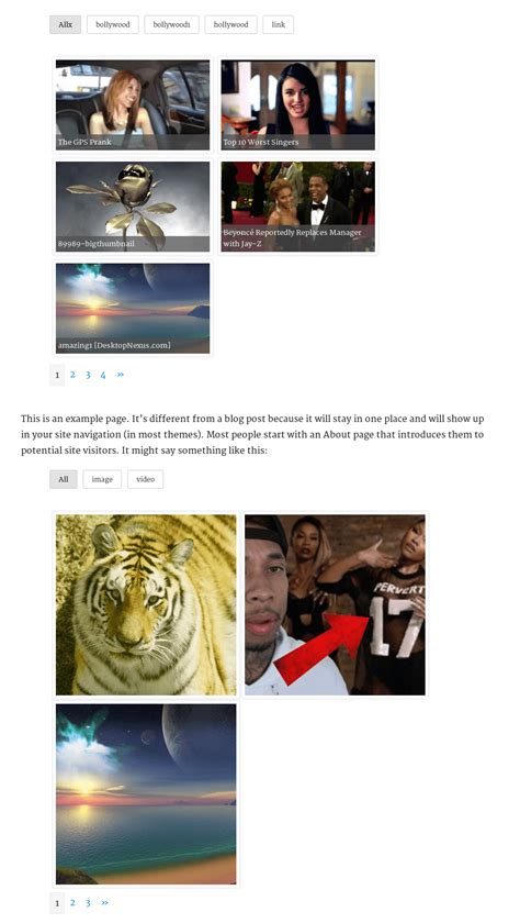 WordPress Media Grid Filterable Portfolio Pro Plugin I13 Web Solution