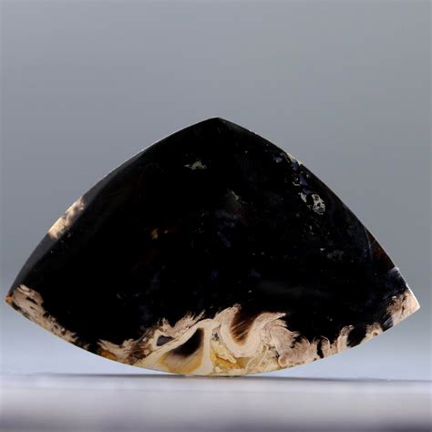 Root Fossil Cabochon Fossilized Palm Root Flame Pattern Earth Tone