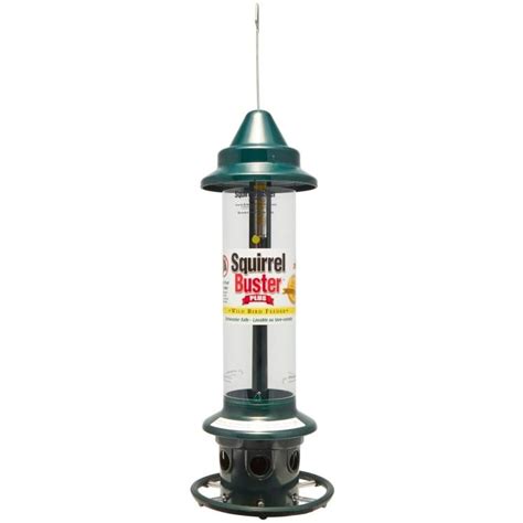 Brome Squirrel Buster Plus Hanging Bird Feeder By Brome At Fleet Farm