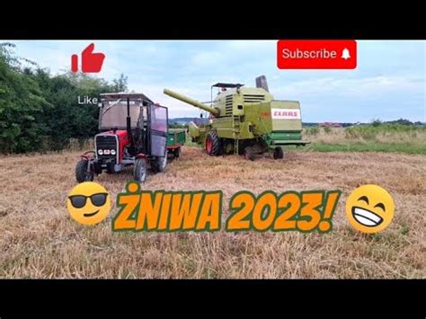 Żniwa 2023 Kosimy Pszenice5 ton z hektaraU R S U S C 360 MF 255