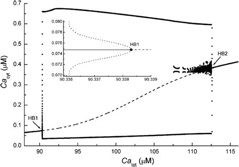 Bifurcation Diagram Of The Examined Mathematical Model Without