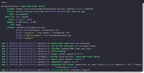 How To Setup And Configures Proxy Server Squid Proxy