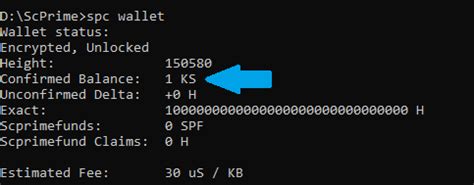 Command Line Interface CLI Wallet Setup Windows ScPrime Cloud Storage
