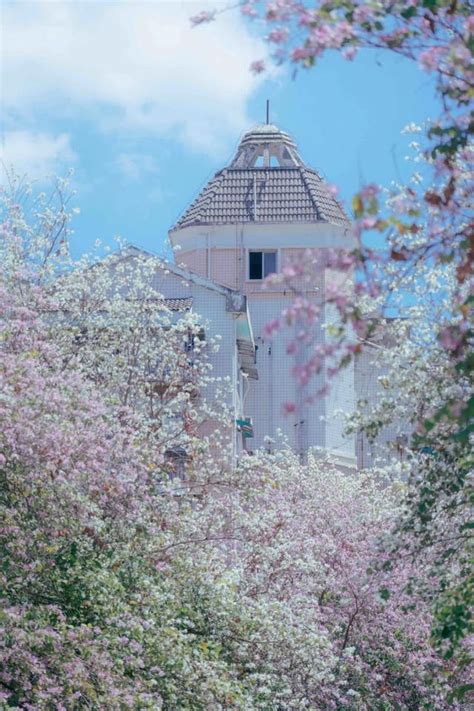 【閩山閩水物華新】雲遊八閩，「五一」樂不停 每日頭條