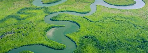 Exploratory Group On Funding Beyond Value Chain Mitigation Bvcm Gs