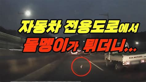 17890회 트럭 바퀴 사이에 낀 돌멩이가 튀어나와서 사고가 나면 트럭에 책임이 있을까요 Youtube