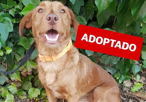 Timy Ideal Para Familias La Rioja