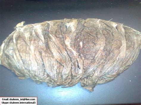 Omasumid8340817 Product Details View Omasum From Shaheen International Ec21