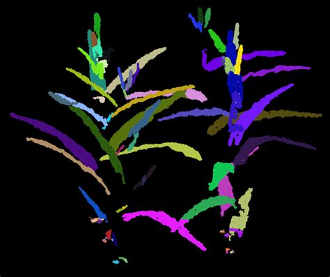 Steps For The Point Cloud Preprocessing Several Images Similar To A Download Scientific