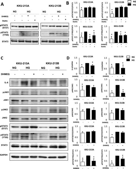 Nf κb Pathway Interacted With Stat3 Pathway Via Il 6 Download