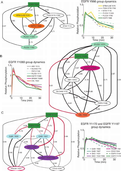 Egfr Graphs Built From The Co Occurrence Matrix Indicate Robust