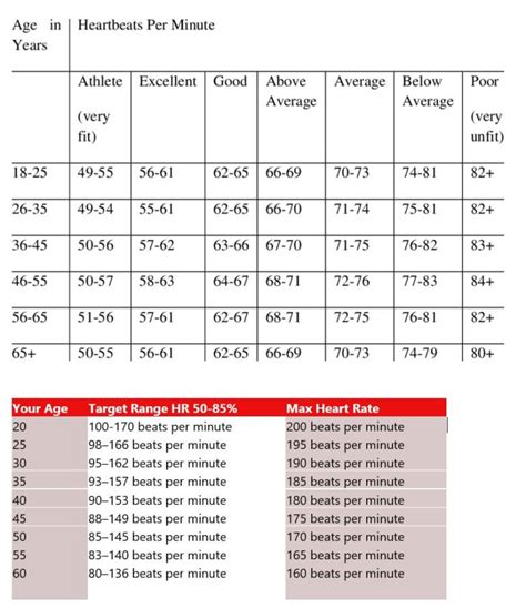 Heartrate Chart Kikaha O Ke Kai