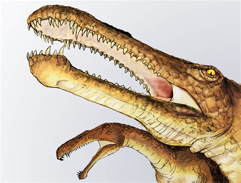 Dinossauro Genesis Irritator
