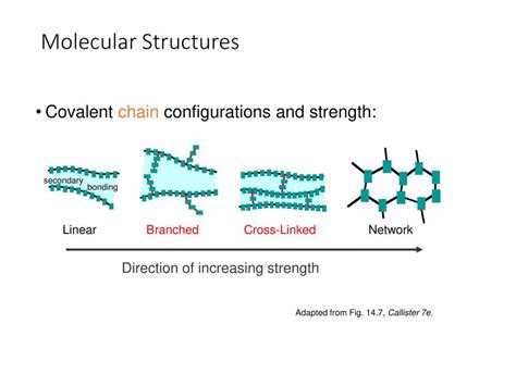 Structure Of Polymer Chain Powerpoint Slides Learnpick India