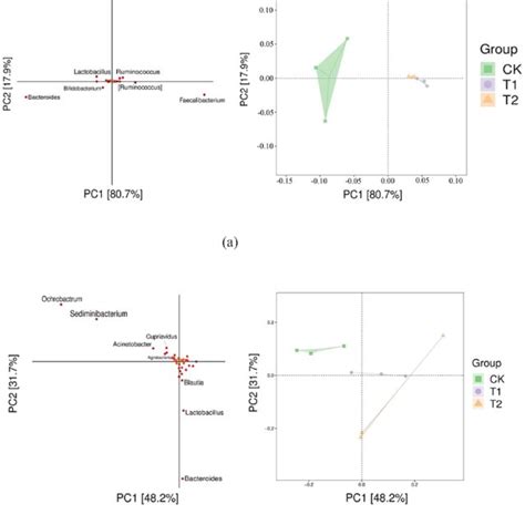 Pca Analysis Note A Species Loading Map Analyzed By Pca B Sample