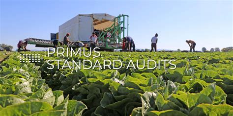 Primus Standard Audits Primus Auditing Ops
