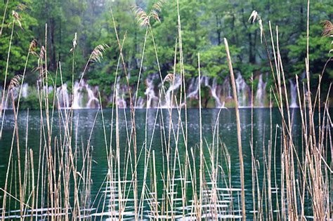 터키석 물 Plitvice 호수 국립 공원에 아름 다운 폭포 크로아티아 유럽입니다 선택적 초점 거리가 먼에 대한 스톡 사진 및