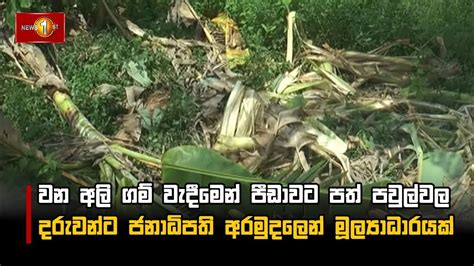 වන අලි ගම් වැදීමෙන් පීඩාවට පත් පවුල්වල දරුවන්ට ජනාධිපති අරමුදලෙන් මූල්‍යාධාරයක් Youtube