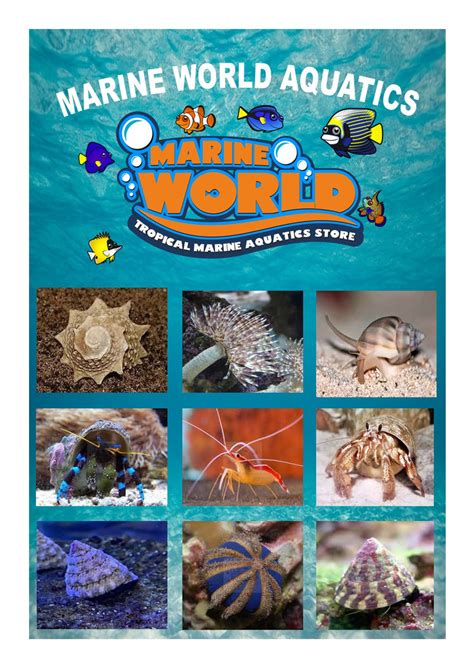 Reef Tank Scavengers Multi Pack Box 3 Marine World Aquatics