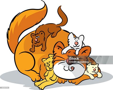 자본가 및 Kittens 고양이 새끼에 대한 스톡 벡터 아트 및 기타 이미지 고양이 새끼 잠자기 가축 Istock