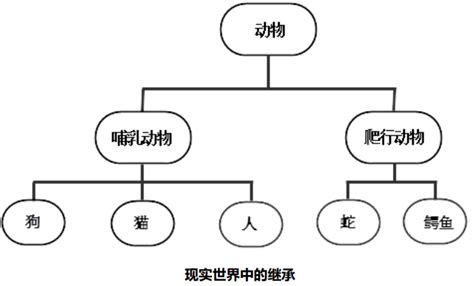 Java Link